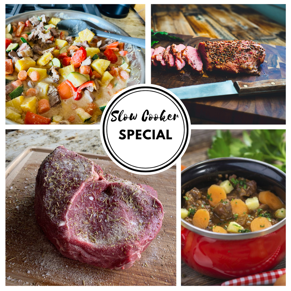 Home page – Downs Ranch