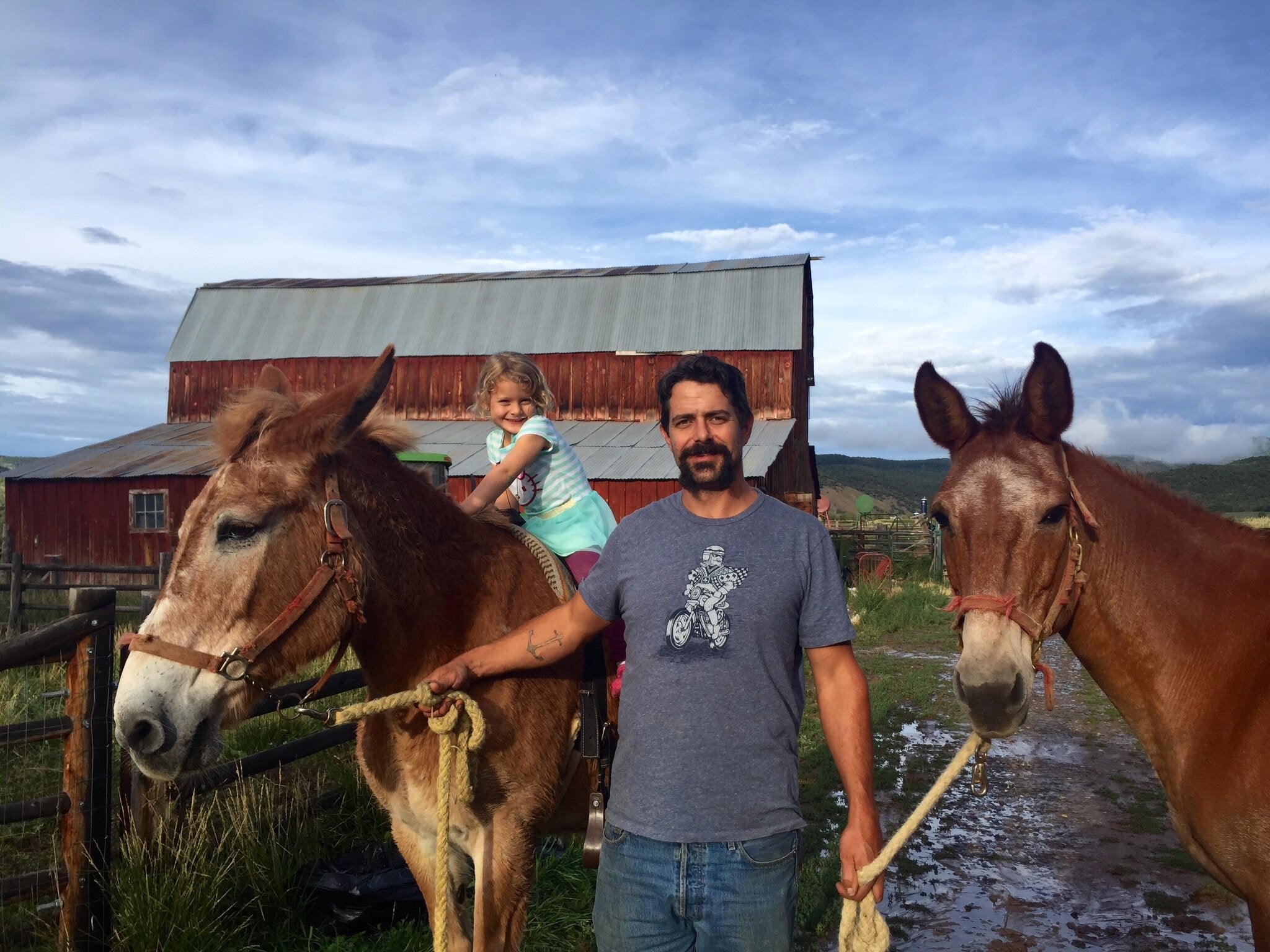 Contact – Downs Ranch