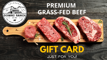 Home page – Downs Ranch